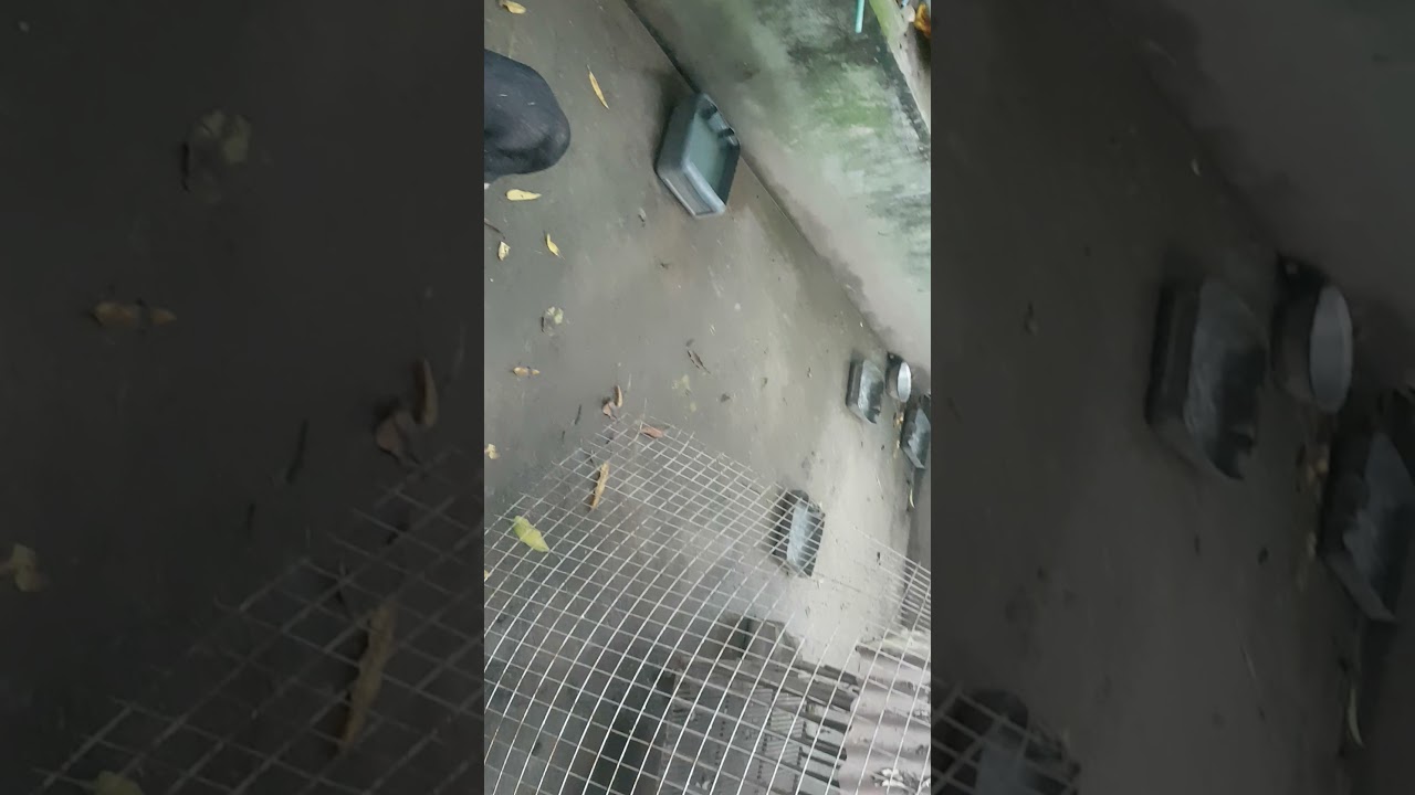 Agosto Trese ,2021(3) - MzMzMMz